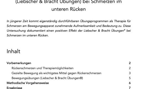 Studie zu Liebscher & Bracht-Übungen bei Schmerzen im unteren Rücken | Liebscher & Bracht Wien ...